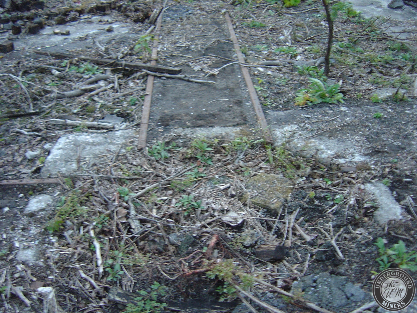 Pine Ridge Colliery – Underground Miners