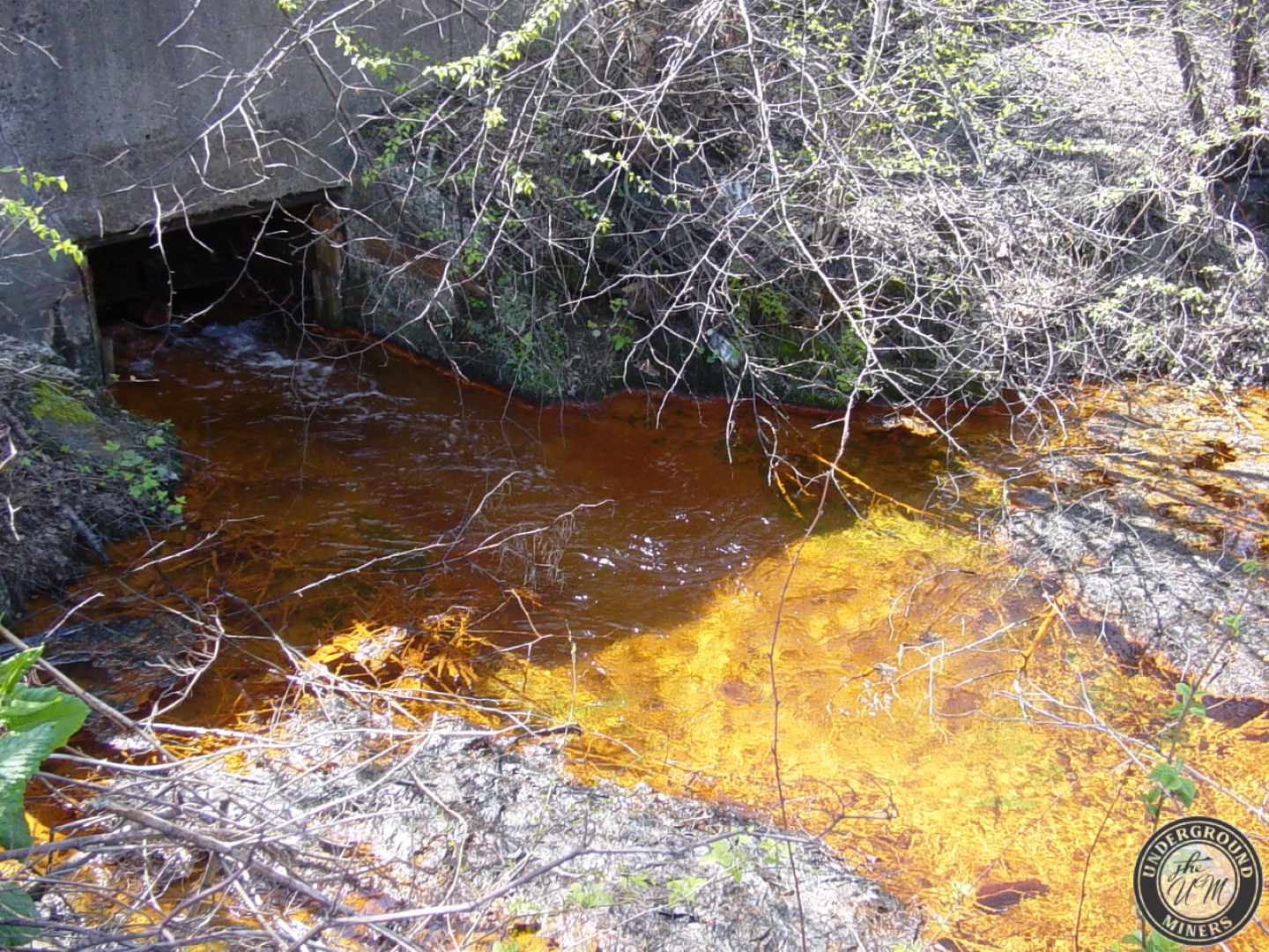 Glen Burn (Cameron) Colliery – Underground Miners