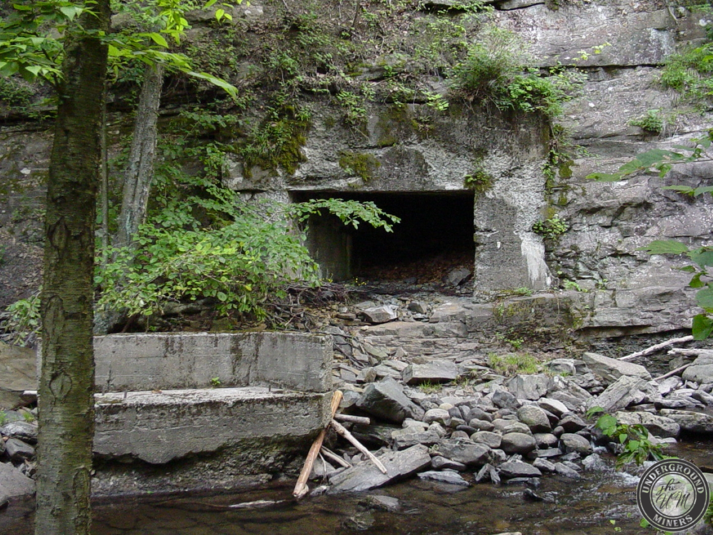 Pine Ridge Mountain Mines – Underground Miners