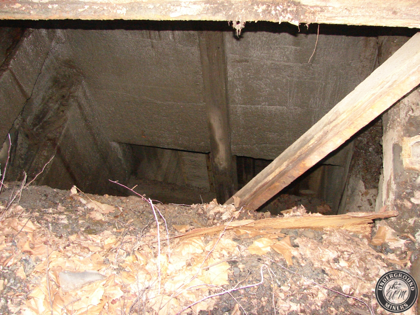 Loree Colliery – Underground Miners