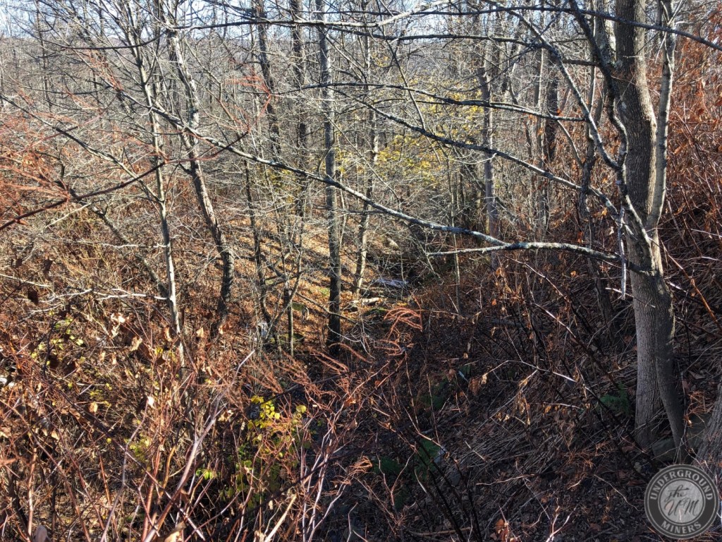Hillside Coal & Iron Vandling Haulage Slope – Underground Miners
